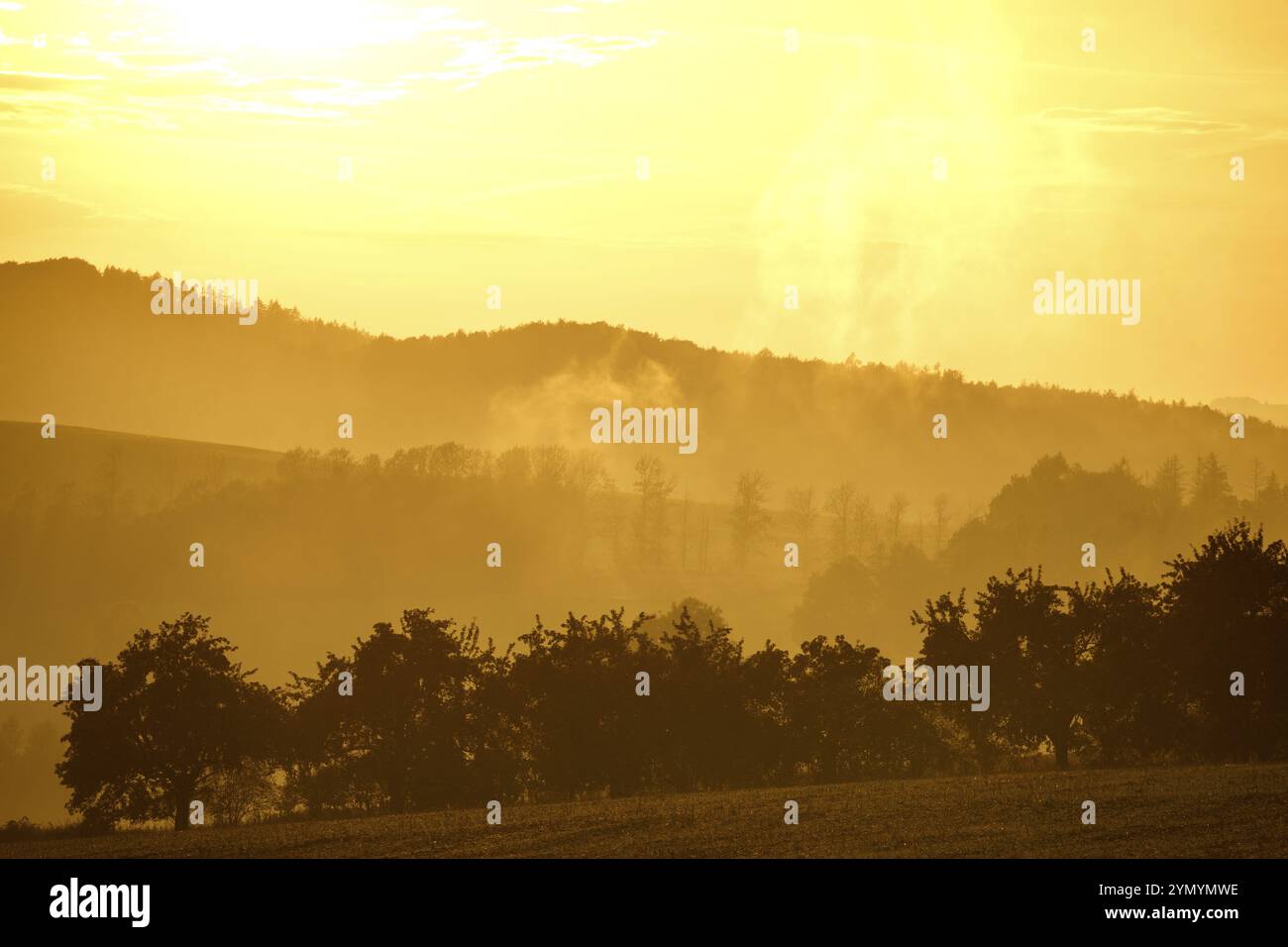 Lovely evenings hi-res stock photography and images - Alamy