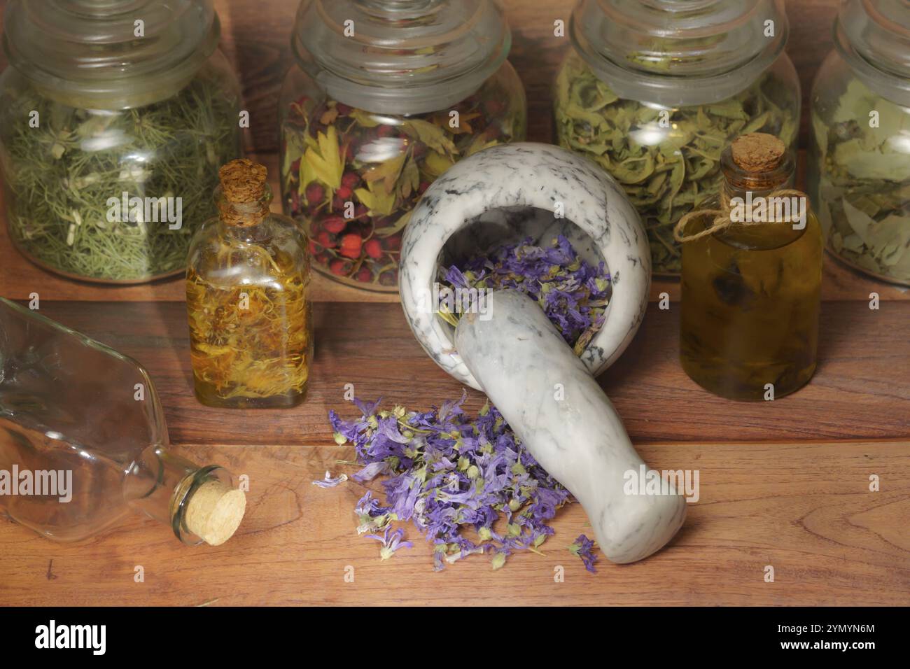 Apothecary in preparation of natural remedies with medicinal plants ...