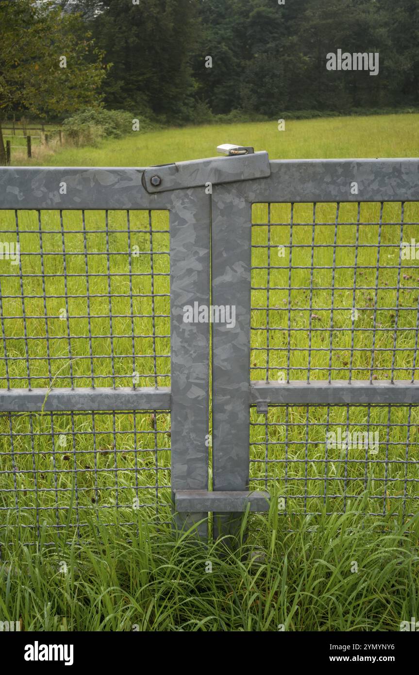 Paddock buildings hi-res stock photography and images - Alamy