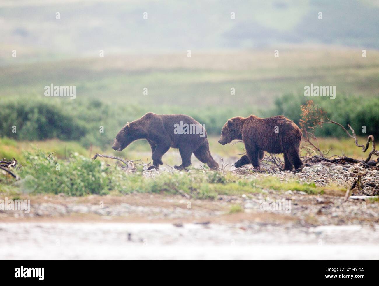Walking single file hi-res stock photography and images - Alamy