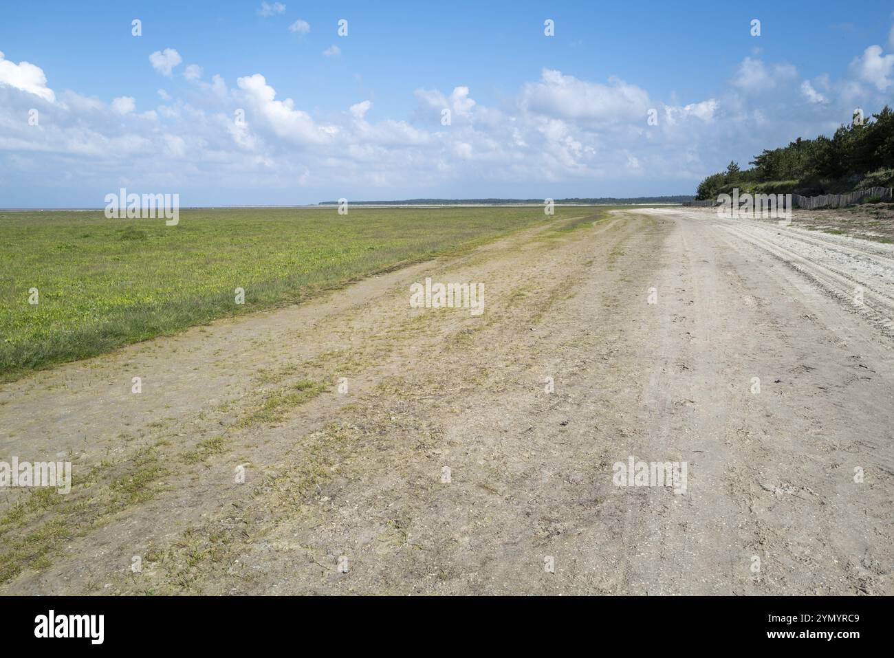 The nature reserve of La Maye in northern France Stock Photo - Alamy