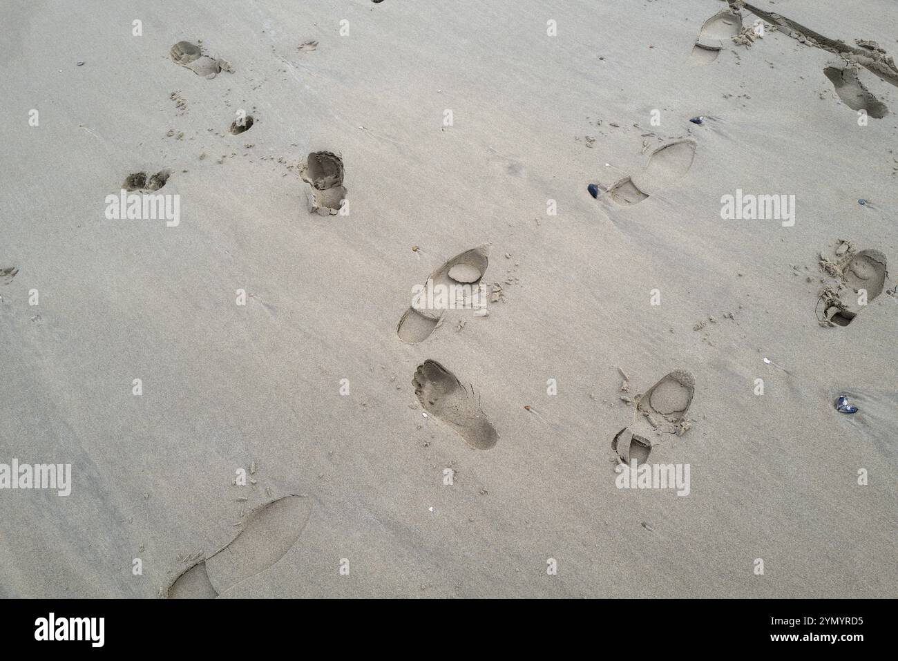 Footprints in the sand on the beach Stock Photo - Alamy