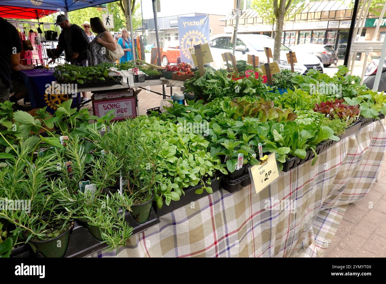 Table of produce hi-res stock photography and images - Alamy