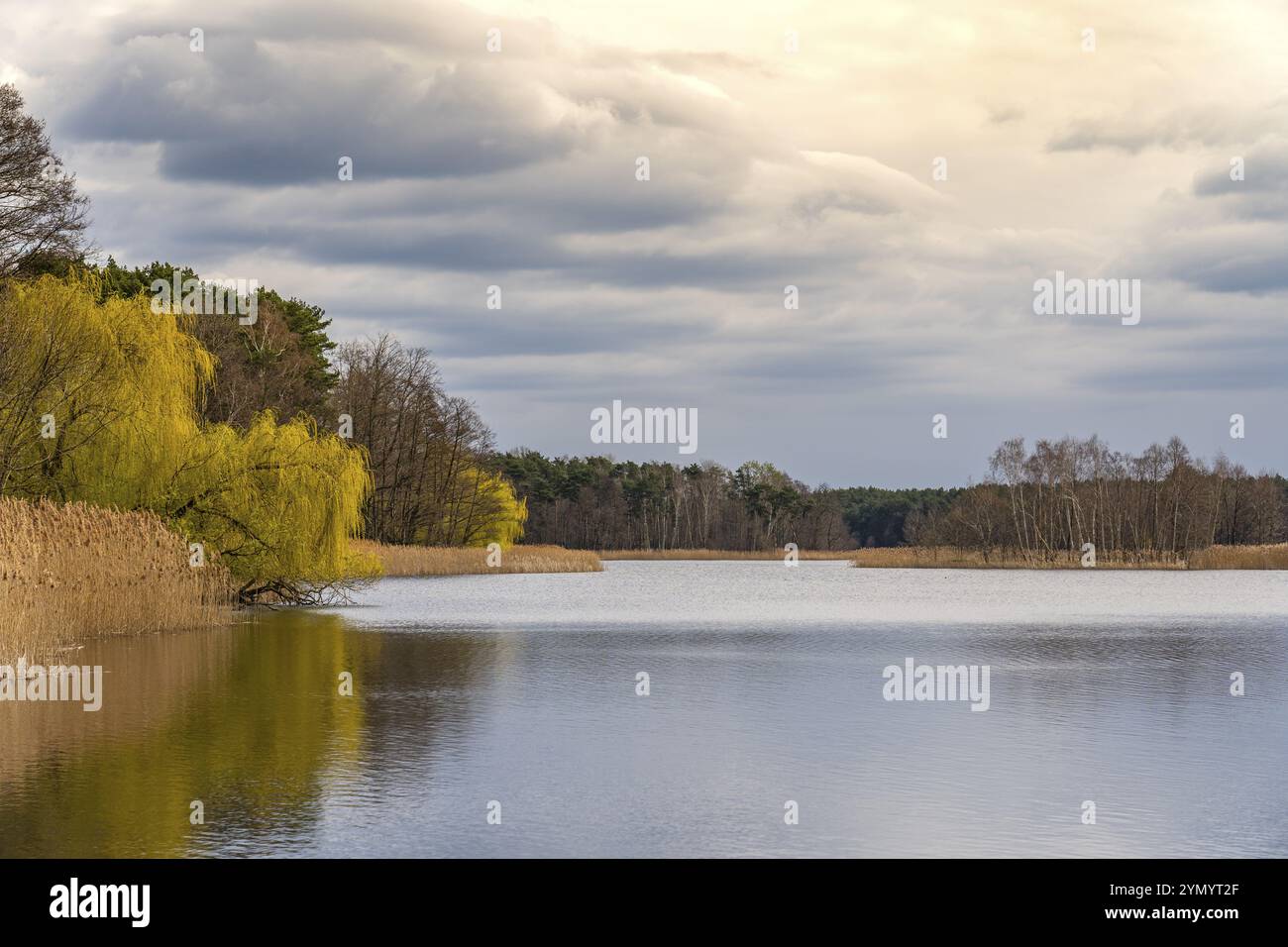 The Schwarze Lache - fish pond in Upper Lusatia 1 Stock Photo - Alamy