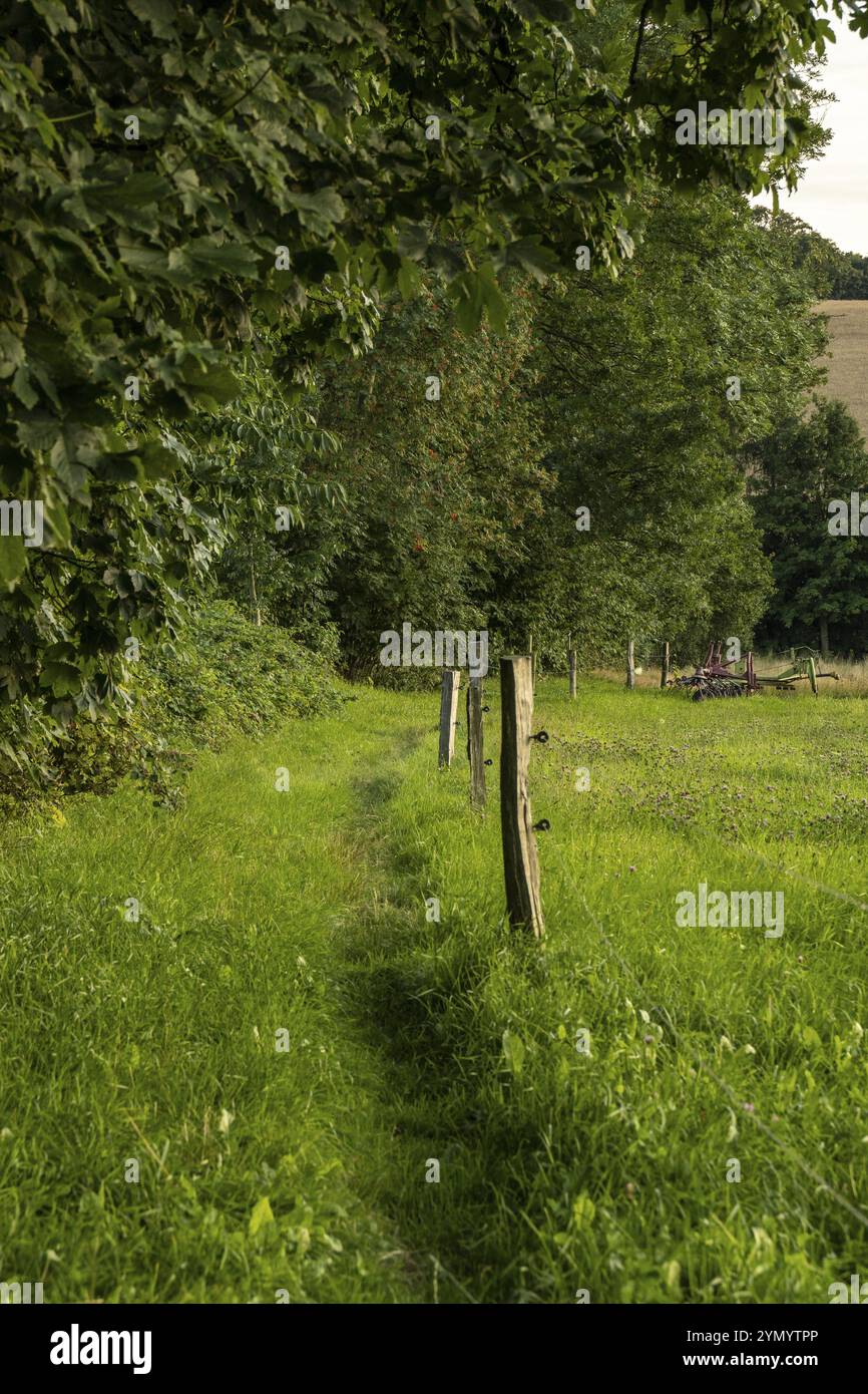 Landscape in Upper Lusatia Weifa Stock Photo - Alamy