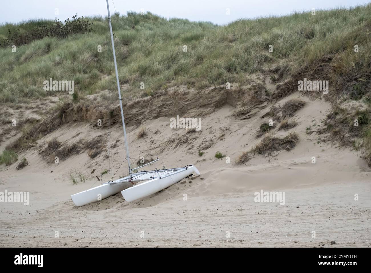 Sailboat catamaran in front of the dunes Stock Photo - Alamy