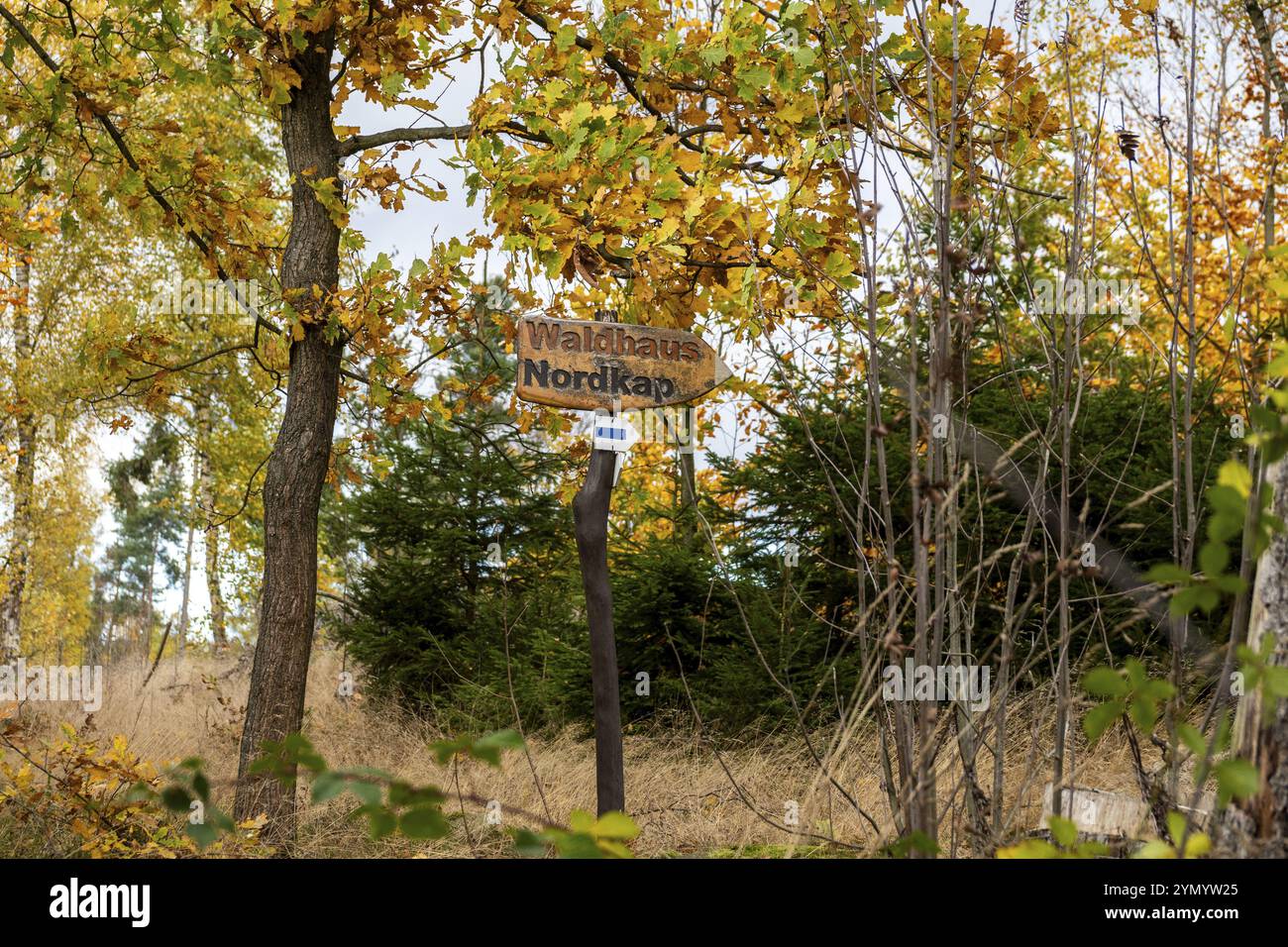 Hiking in autumn in the border region of Upper Lusatia Stock Photo - Alamy
