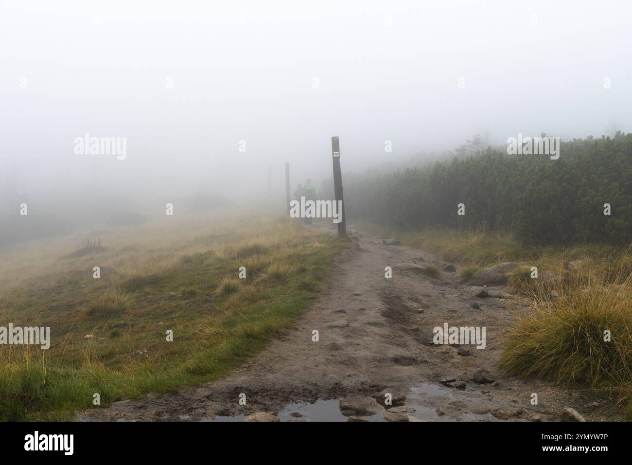 Hiking in the Giant Mountains - On the Friendship Trail Stock Photo - Alamy
