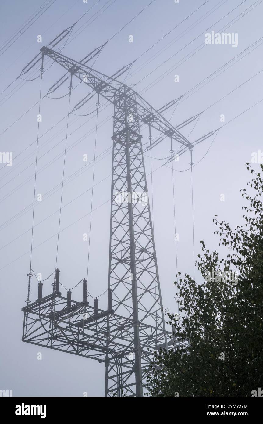 Large high voltage pylons for industry Stock Photo - Alamy
