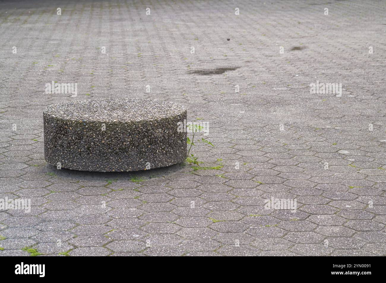 Exposed aggregate concrete bollards on a paved forecourt Stock Photo - Alamy