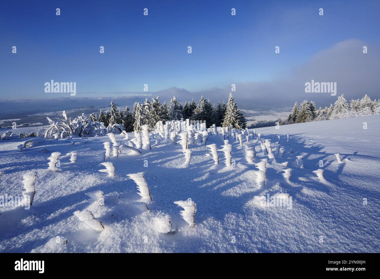 Winter on the highest mountain in the Rhoen, the Wasserkuppe 12 Stock ...