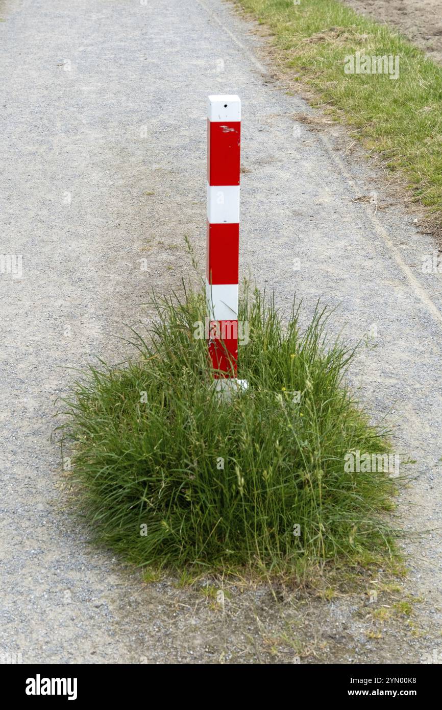 Pole weed hi-res stock photography and images - Alamy