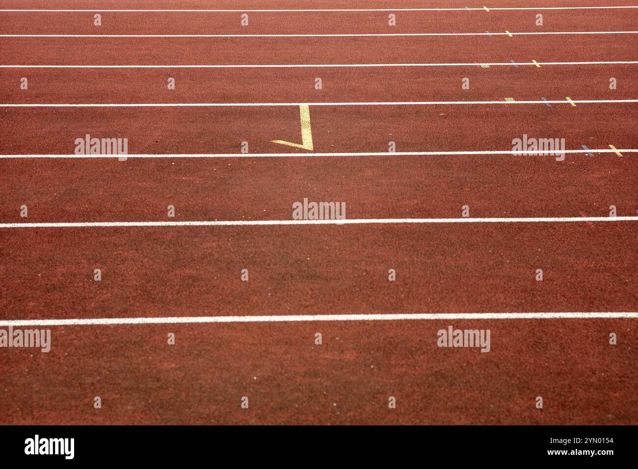 Synthetic track with marks in the athletics stadium Stock Photo - Alamy