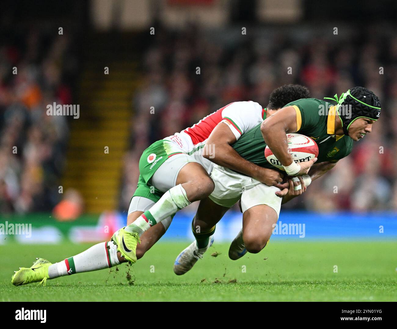 23rd November 2024; Principality Stadium, Cardiff, Wales: Autumn Rugby ...