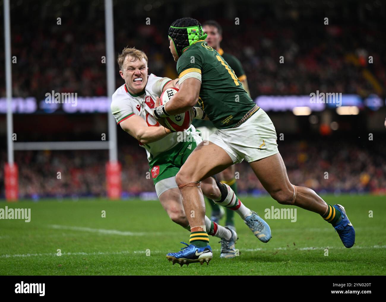 23rd November 2024; Principality Stadium, Cardiff, Wales: Autumn Rugby ...