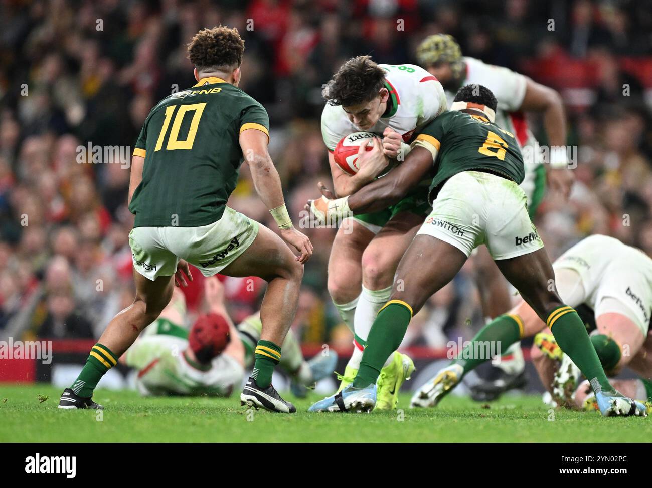 23rd November 2024; Principality Stadium, Cardiff, Wales: Autumn Rugby ...