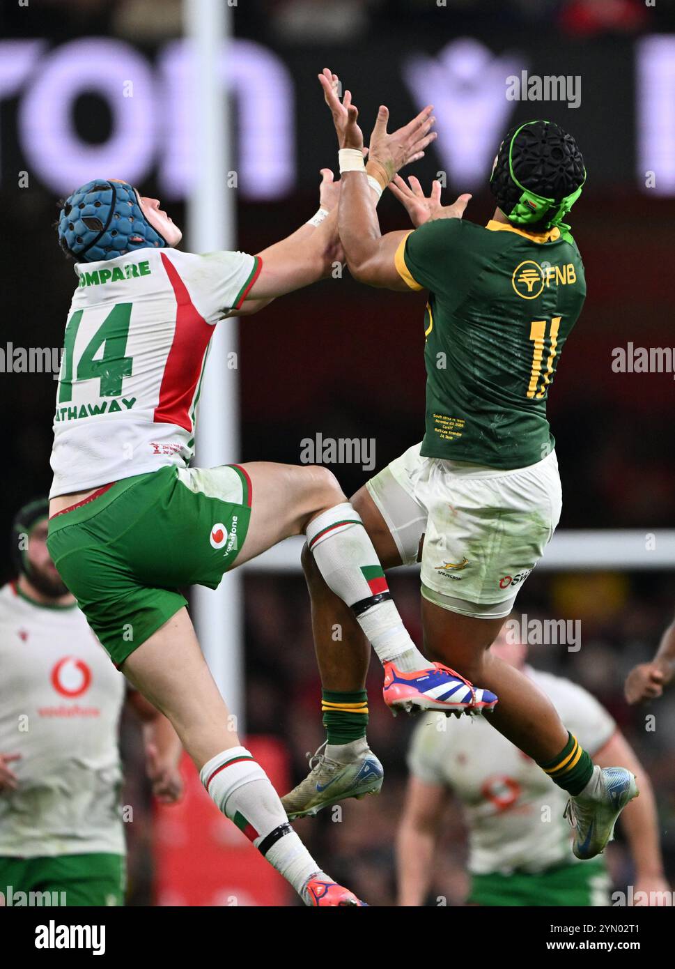 23rd November 2024; Principality Stadium, Cardiff, Wales: Autumn Rugby ...