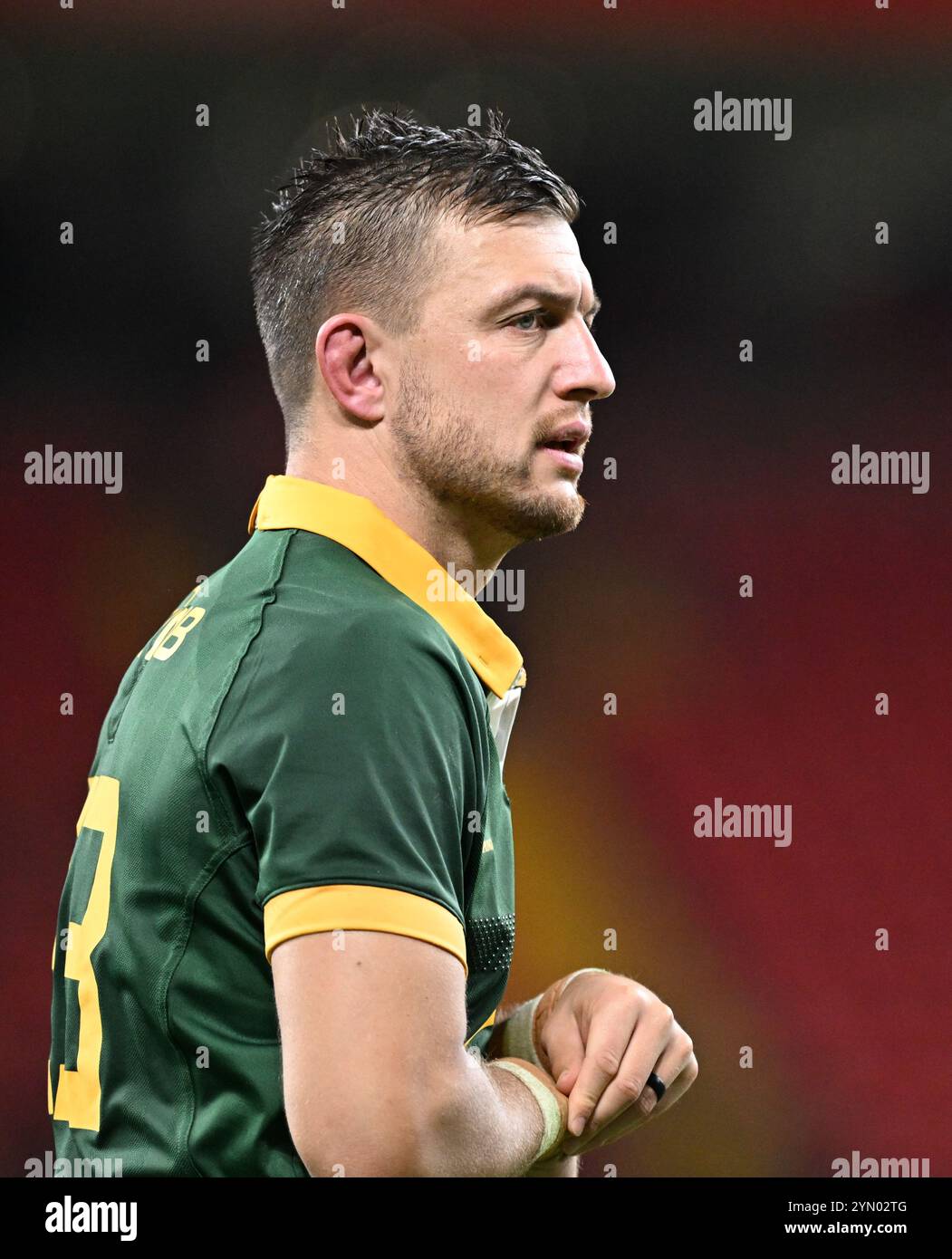 23rd November 2024; Principality Stadium, Cardiff, Wales: Autumn Rugby ...