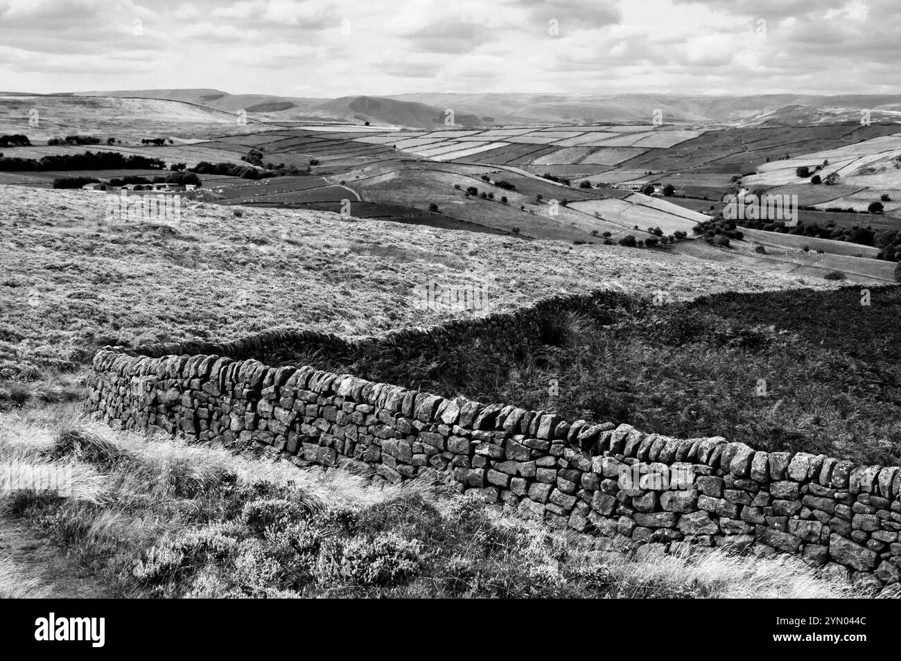 Heather covering Black and White Stock Photos & Images - Alamy