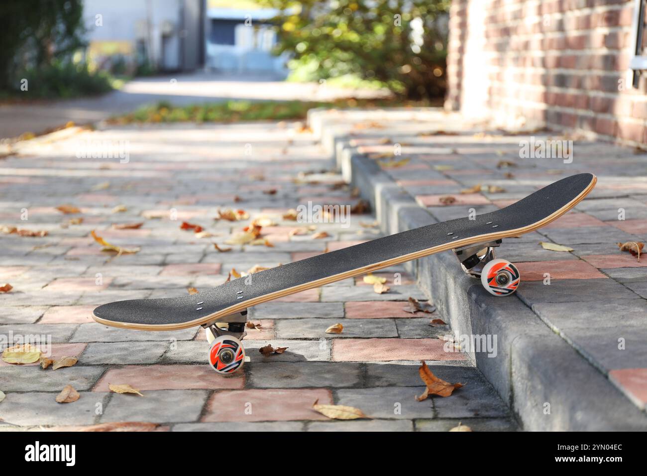 One modern skateboard on paved pathway outdoors Stock Photo - Alamy
