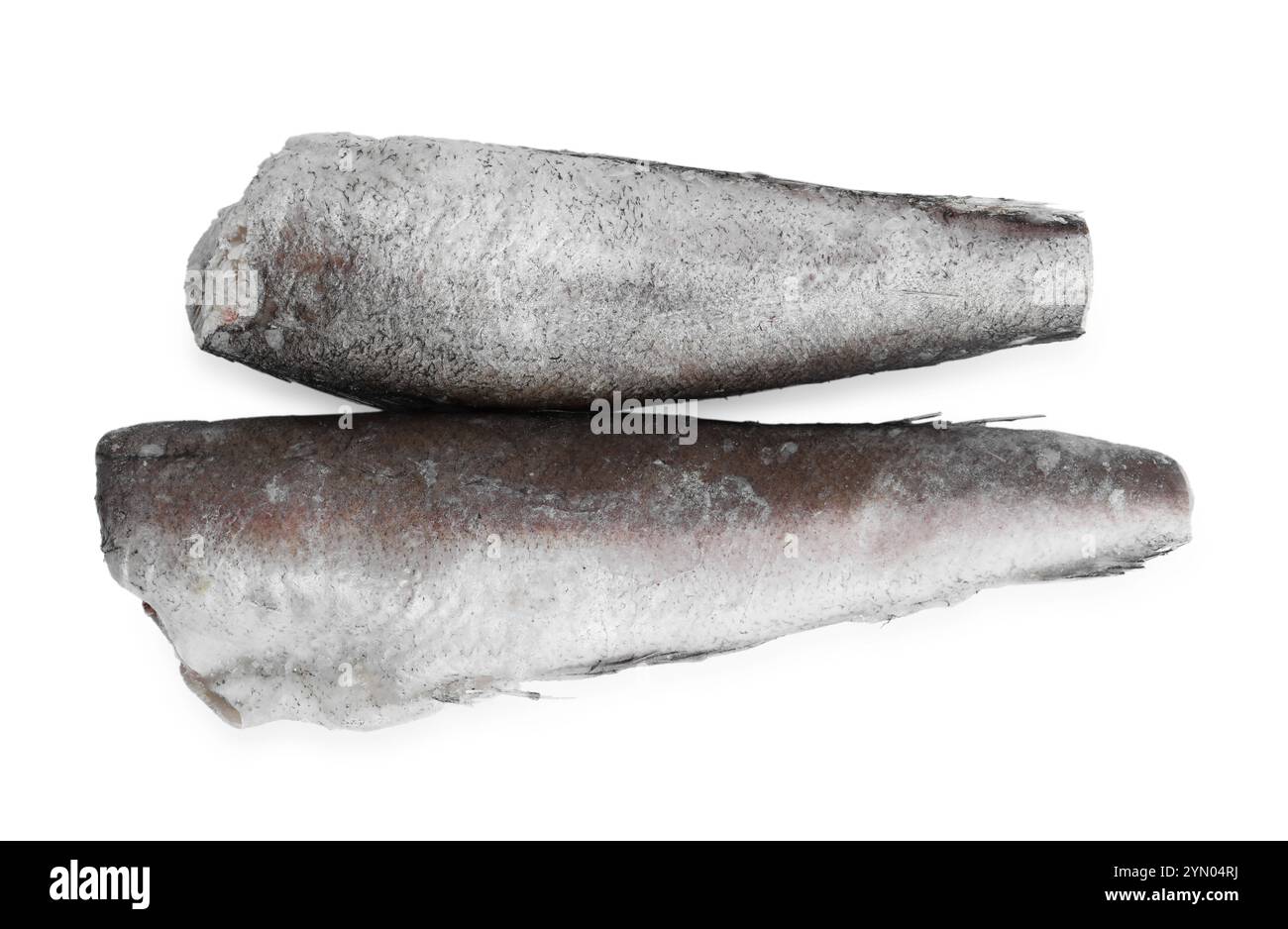 Two frozen hake fishes isolated on white, top view Stock Photo - Alamy
