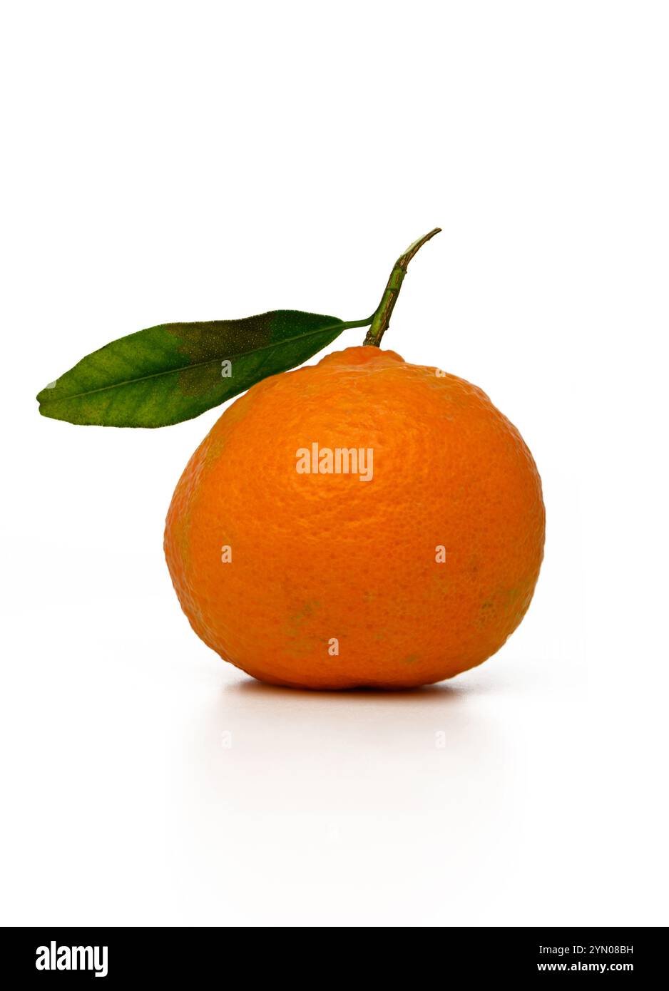 Vivid mandarin fruit highlights the beauty of nature's bounty with its ...