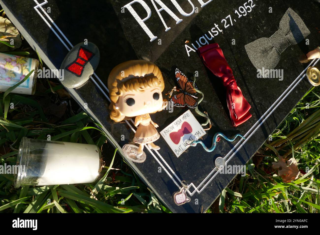 Los Angeles, California, USA 21st November 2024 Actor/Comedian Paul ...