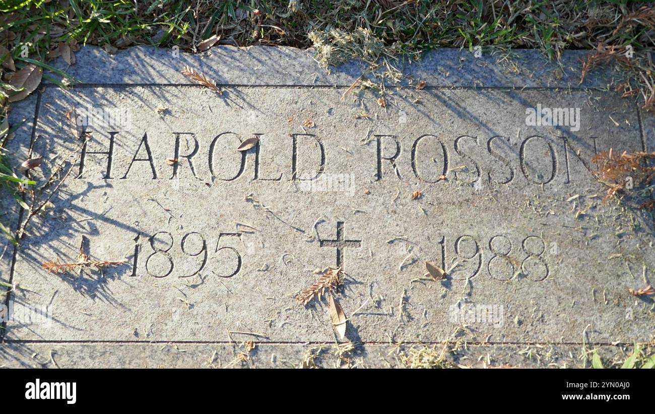 Los Angeles, California, USA 21st November 20224 Cinematographer Harold ...