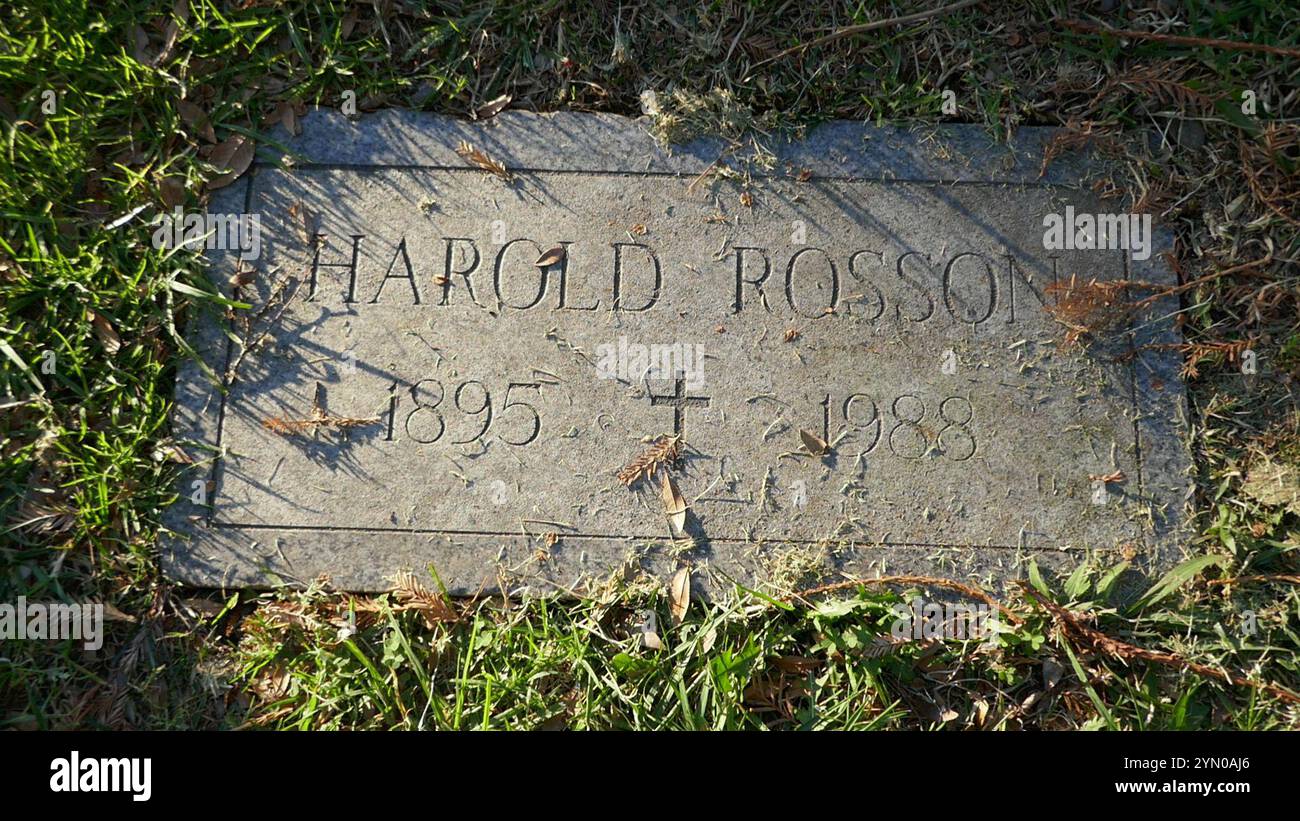 Los Angeles, California, USA 21st November 20224 Cinematographer Harold ...