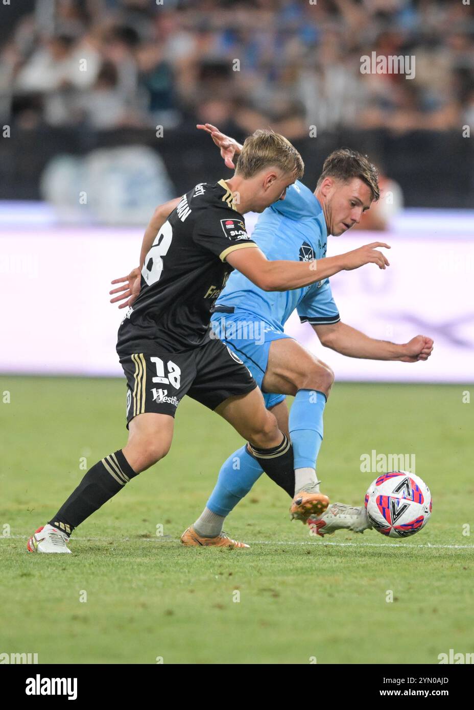 Paddington, Australia. 23rd Nov, 2024. Oscar James Moncrieff Priestman ...
