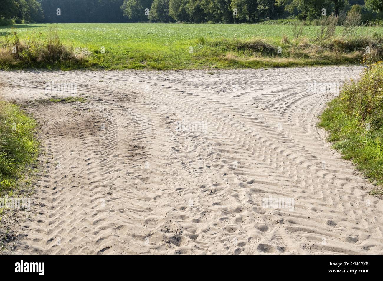Wide sandy path with tractor tracks Stock Photo - Alamy