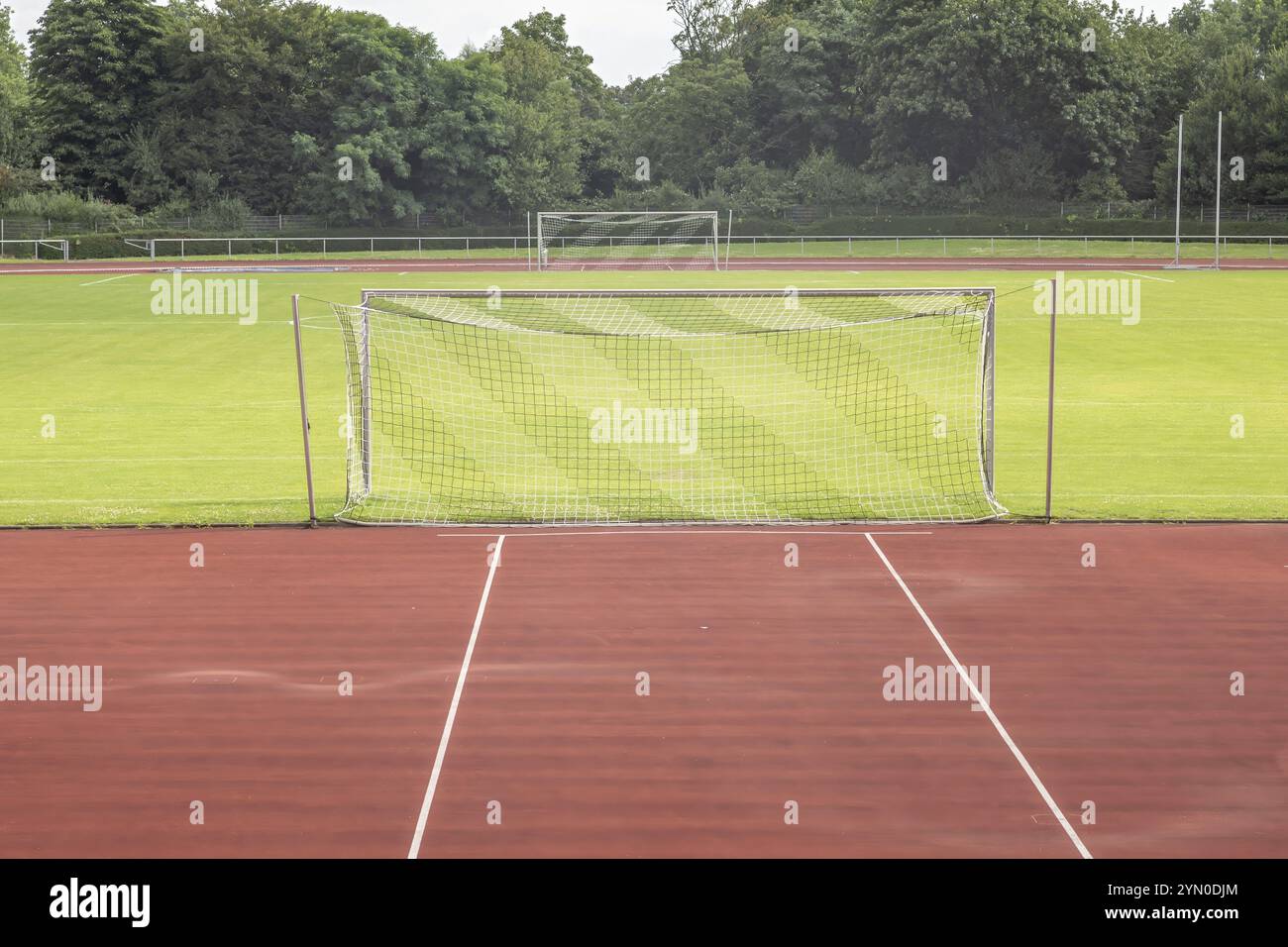 Grass football pitch with two goals Stock Photo - Alamy