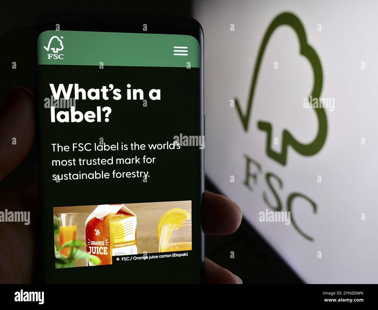 Fsc business company logo hi-res stock photography and images - Alamy