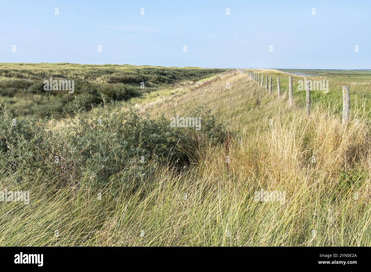 Endlessly long dike on the dutch north sea Stock Photo - Alamy