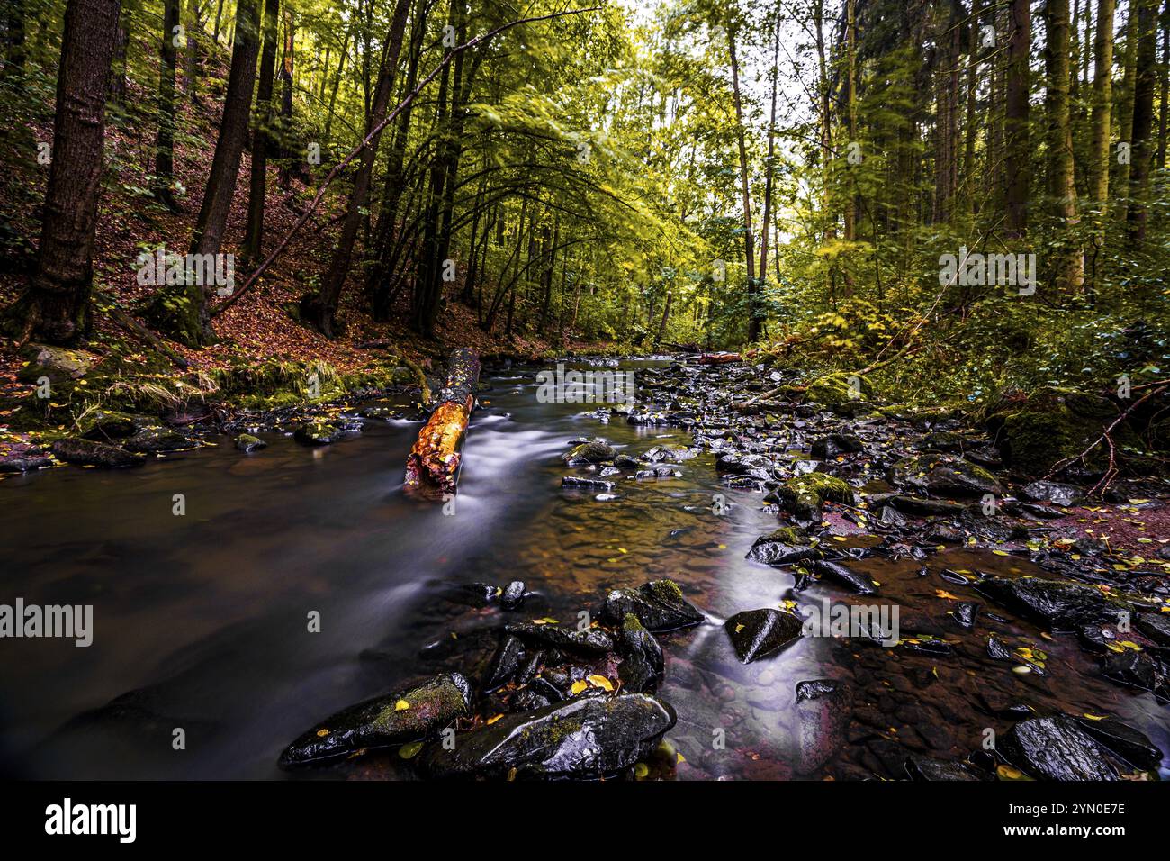 River landscape in Saxony, the Loebauer Wasser - in the heart of Upper ...