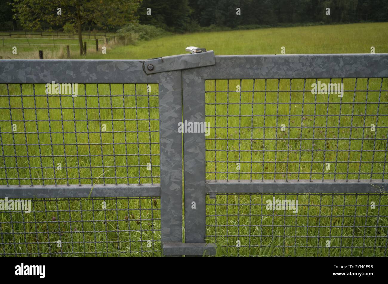 Metal gate for a paddock Stock Photo - Alamy