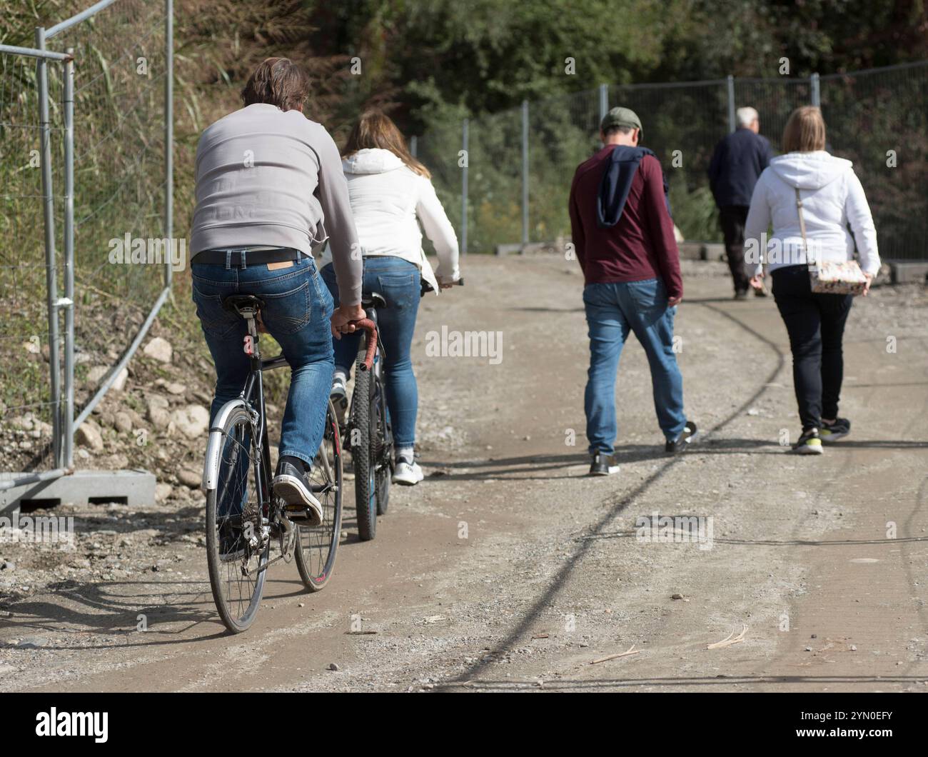 romantic behaviour and affection in a partnership romance behavior in ...