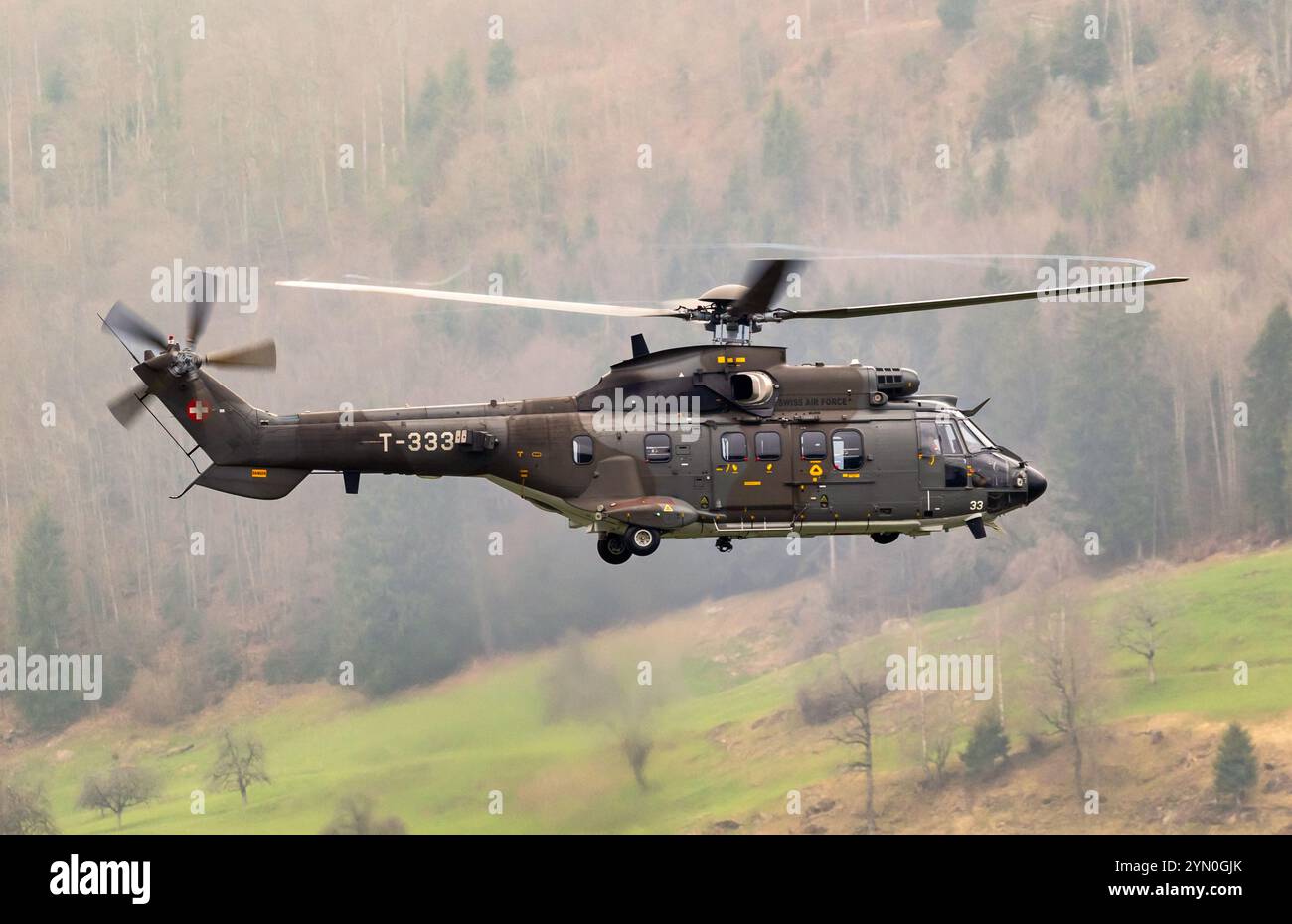 Airbus-Eurocopter AS532 Cougar helicopter of the Swiss Air Arms in ...