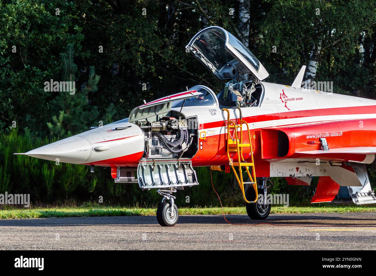 Northrop F-5E Tiger II jet from Patrouille Suisse on the tarmac at Kleine-Brogel Air Base. Peer ...