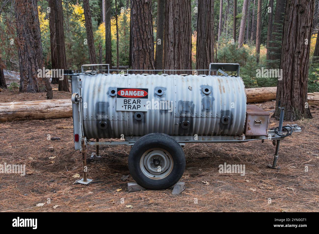 Bear trap travel trailer waiting to catch and relocate problem bears in ...