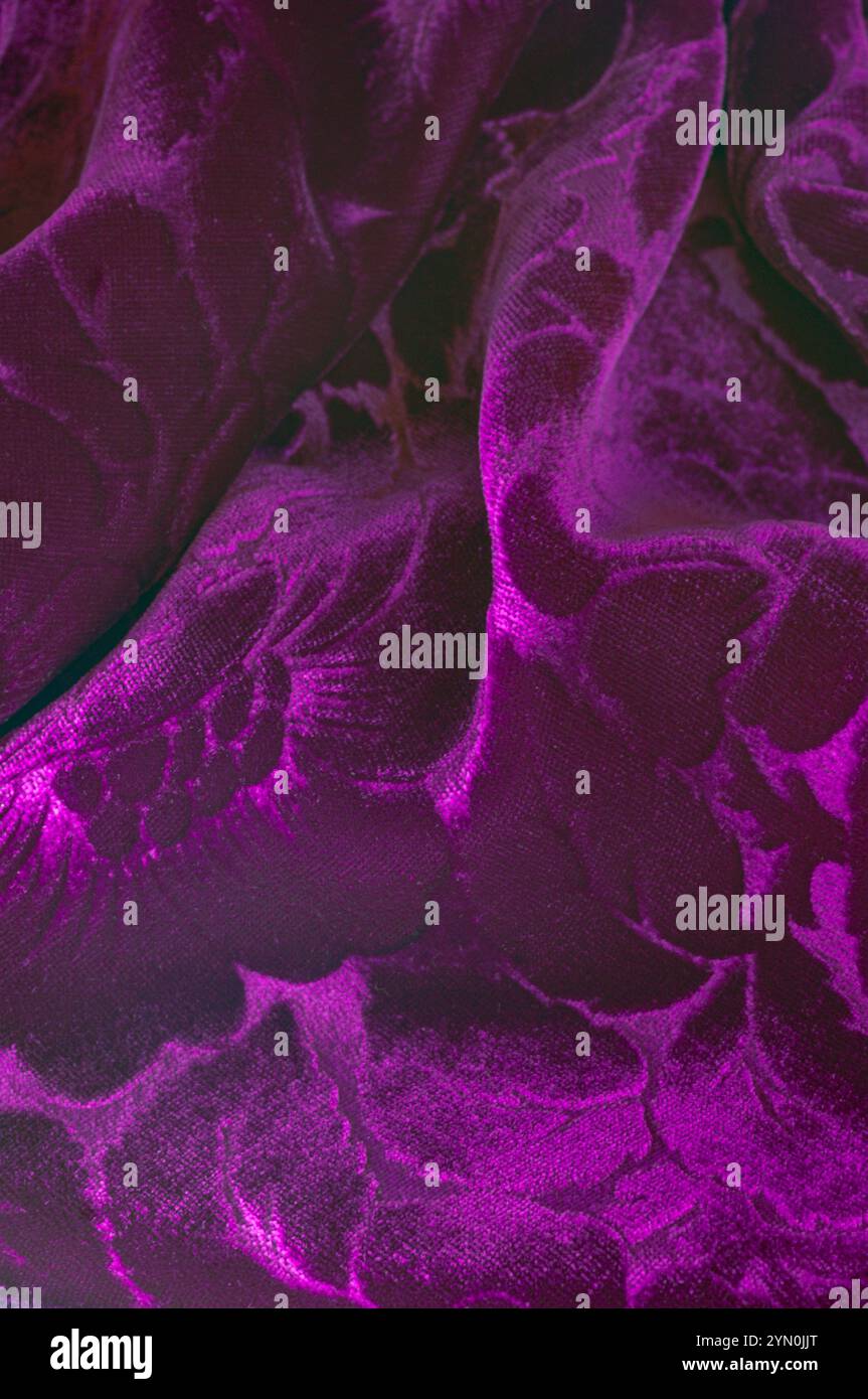 Purple silk ceremonial velvet fabric with a floral motif fills the ...