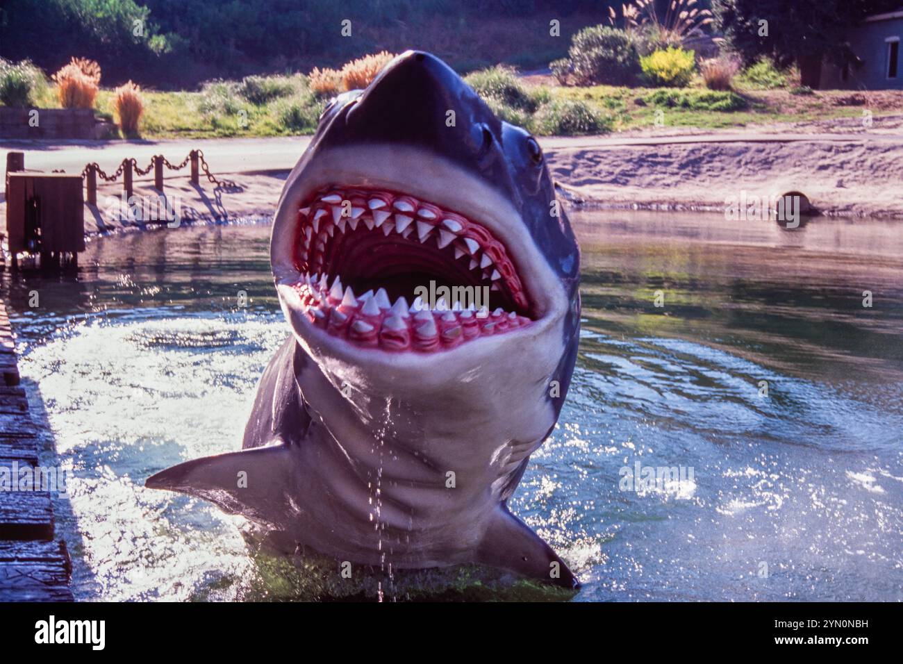 A mechanical shark rises out of the water as a studio tour tram passes at the Jaws Encounter at ...