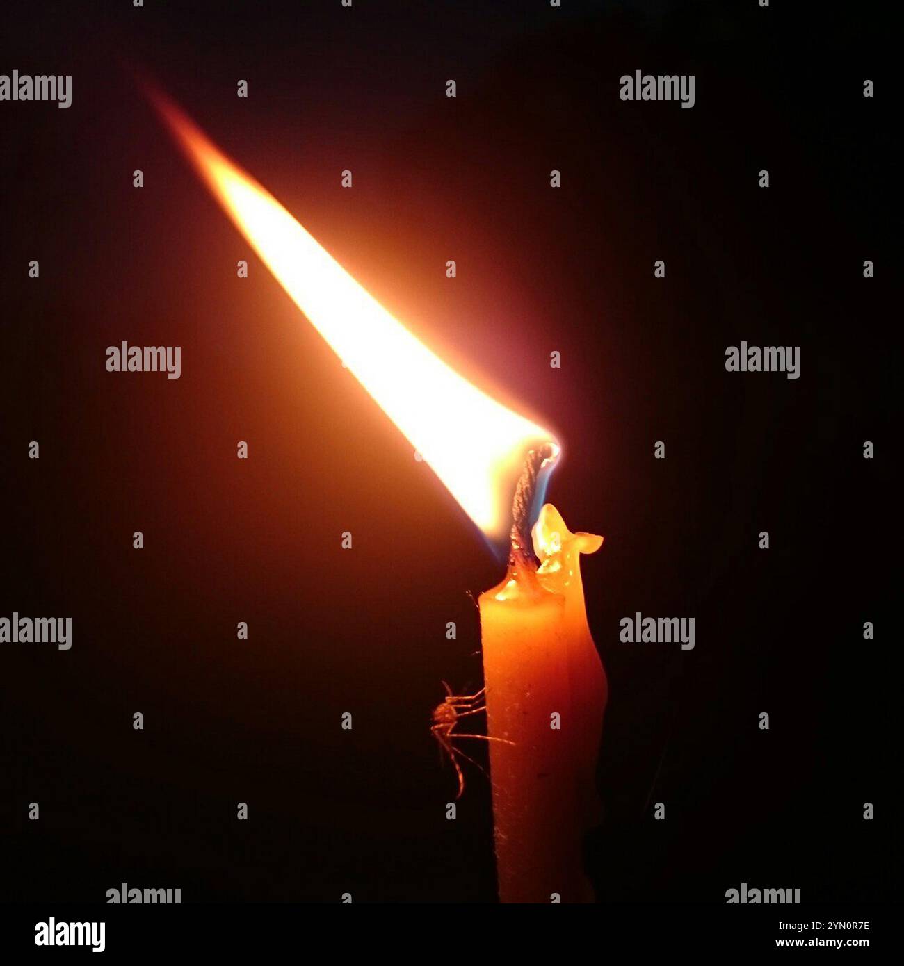 Mosquito and candle on black background. Funeral candle, RIP condolence ...