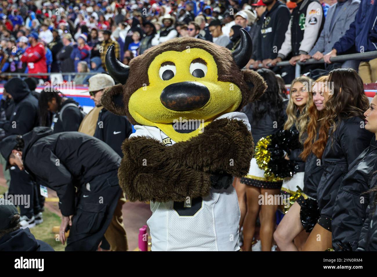 November 23, 2024: Colorado Buffaloes mascot Chip poses for a photo ...