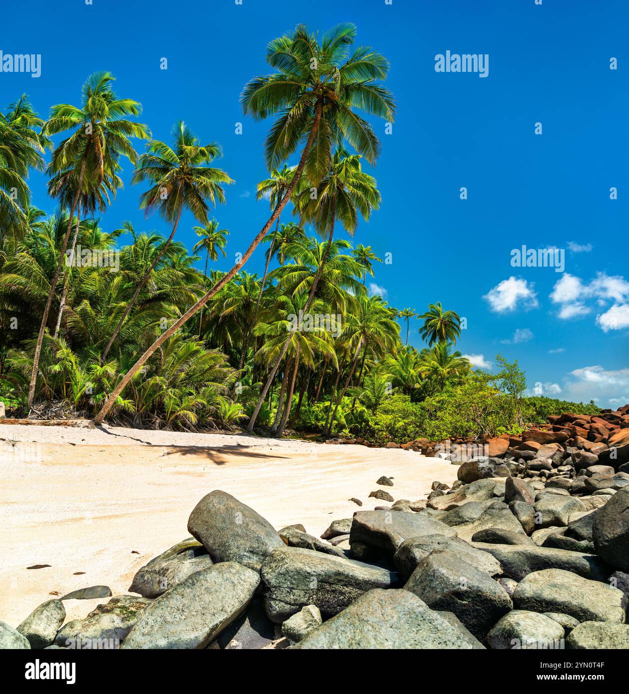 Tropical Beach on Saint Joseph Island, Part of the Salvation Islands in ...