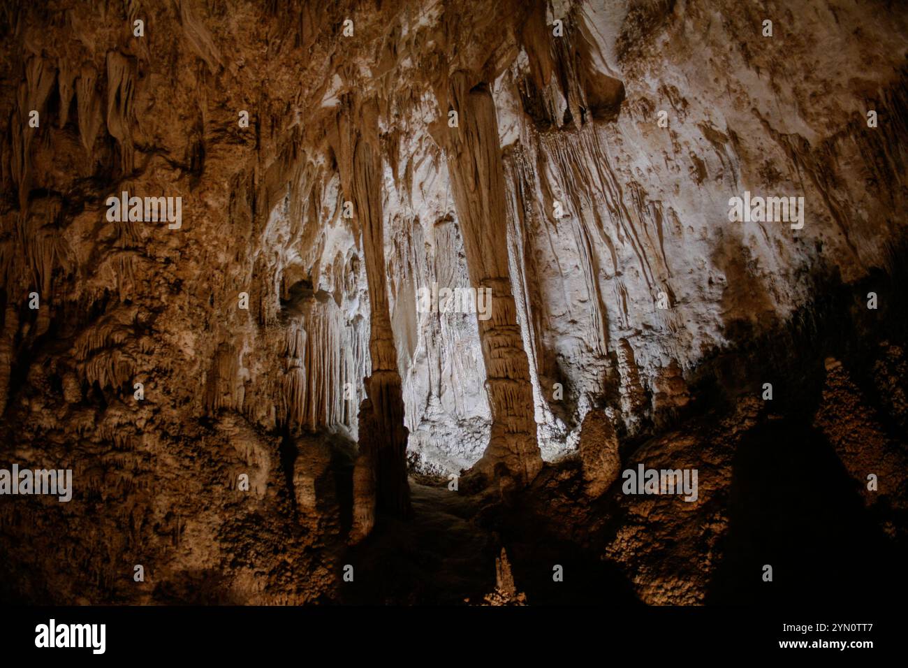 Inside Carlsbad Caverns in New Mexico Stock Photo - Alamy