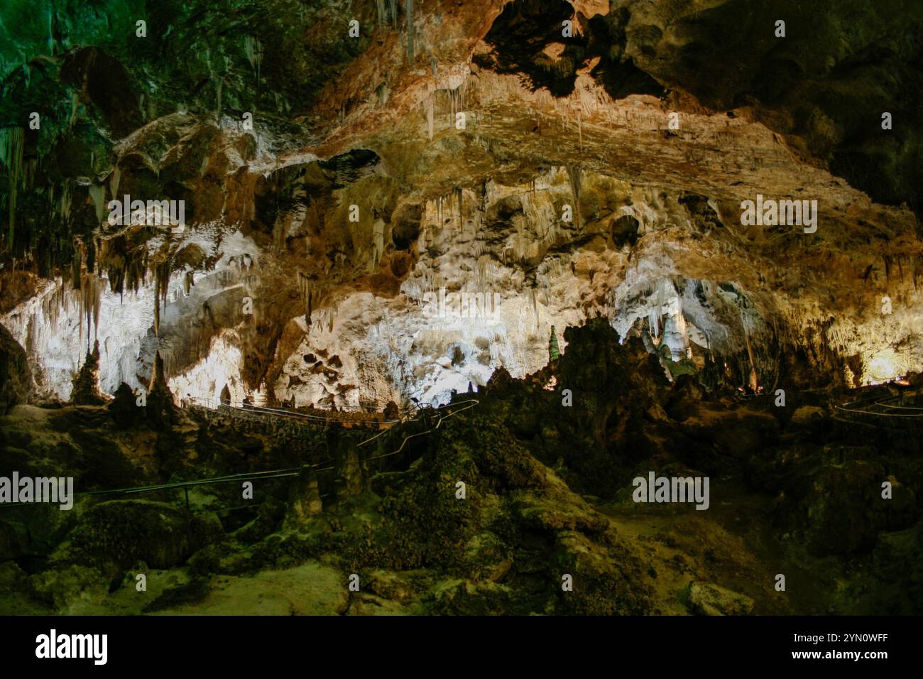 Inside Carlsbad Caverns in New Mexico Stock Photo - Alamy