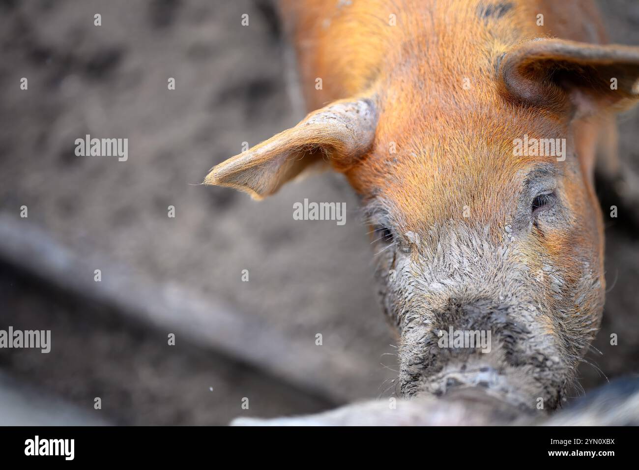 Upturned camera hi-res stock photography and images - Alamy