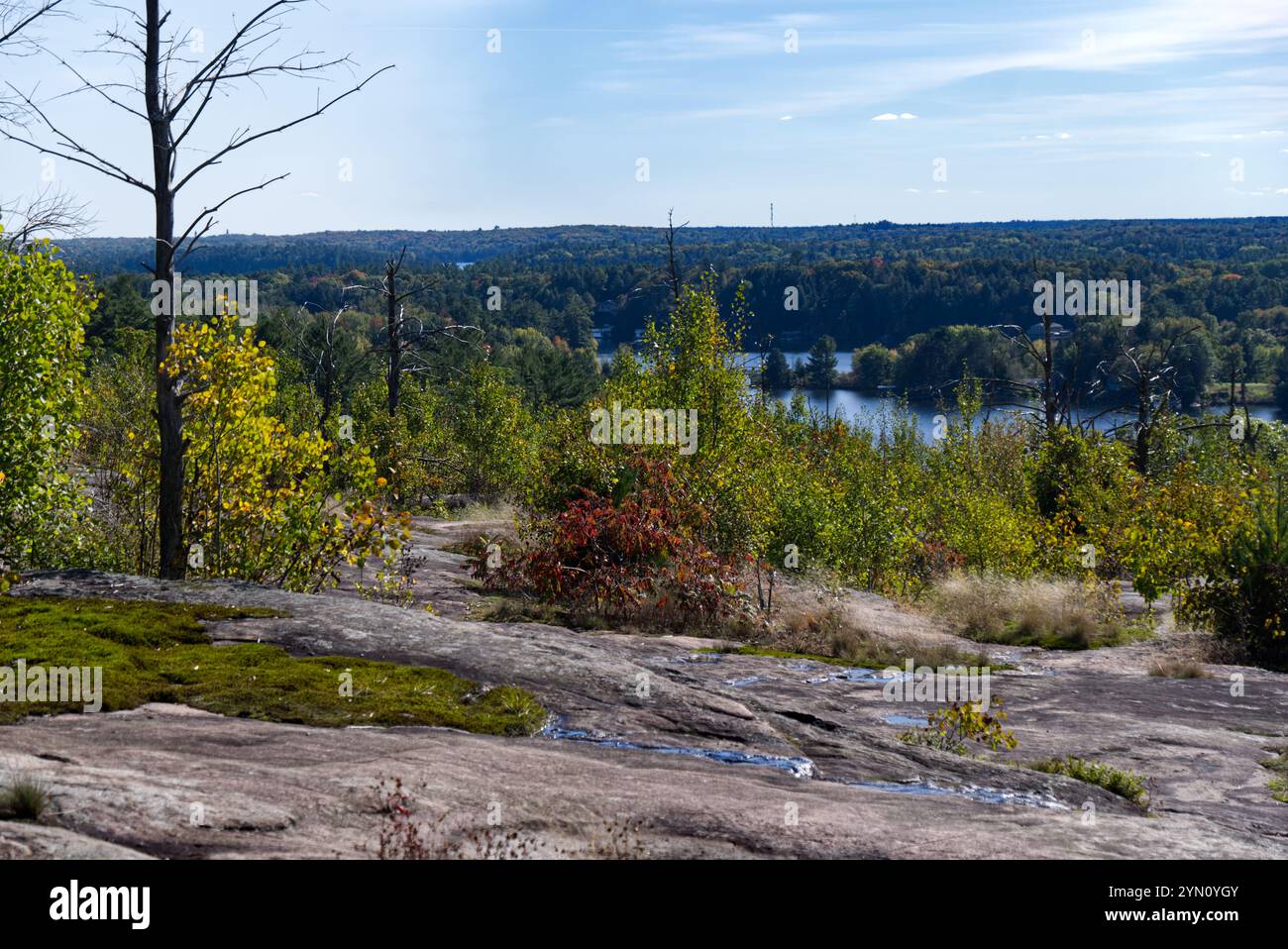 Ontario - Muskoka Lake from Huckleberry Rock Lookout Stock Photo - Alamy