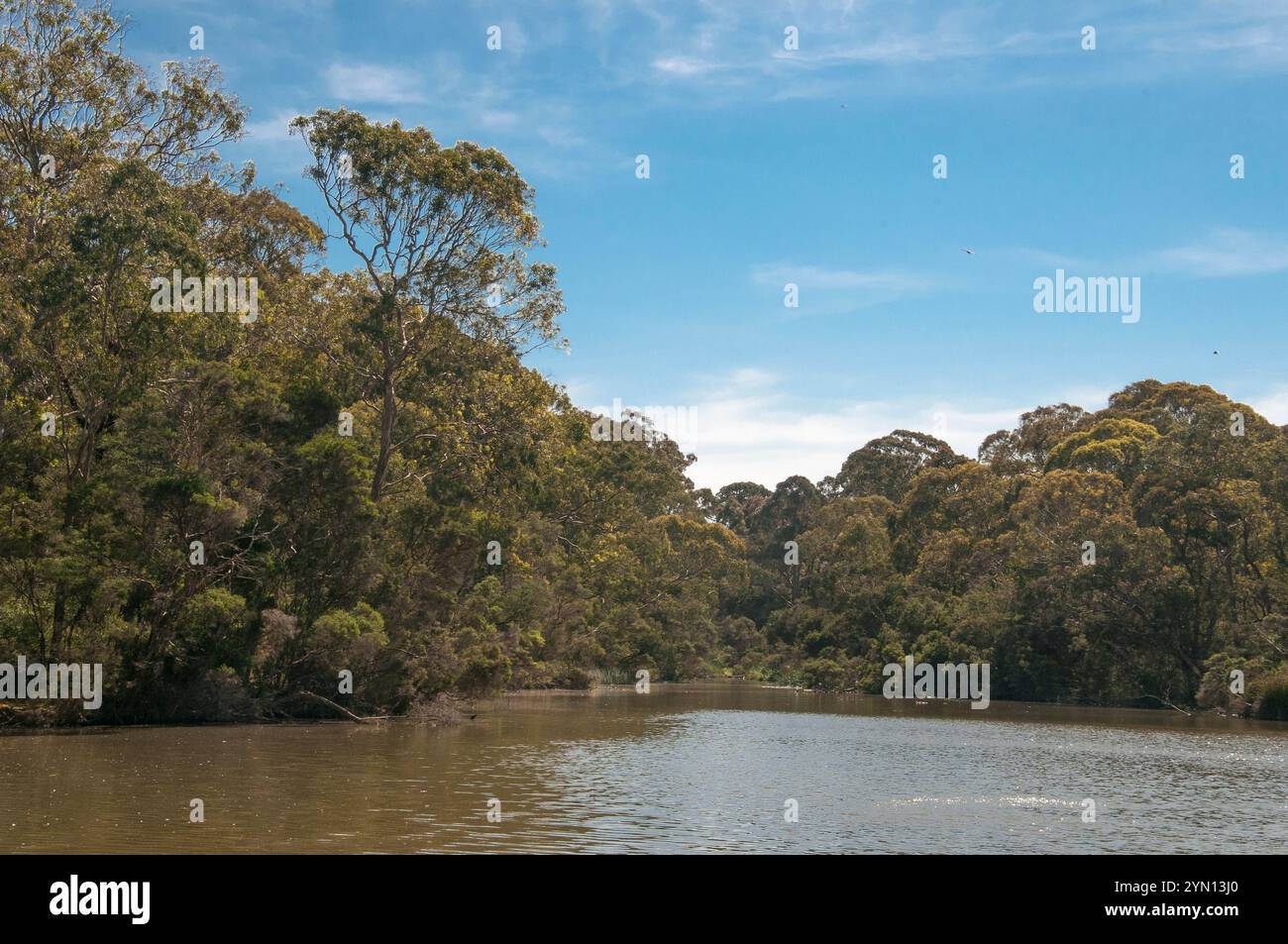 Blackburn lake sanctuary hi-res stock photography and images - Alamy